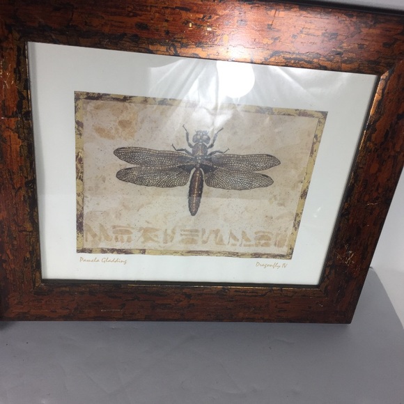 pamela gladdening | Wall Decor | Pamela Gladding Retro Chic Insects ...